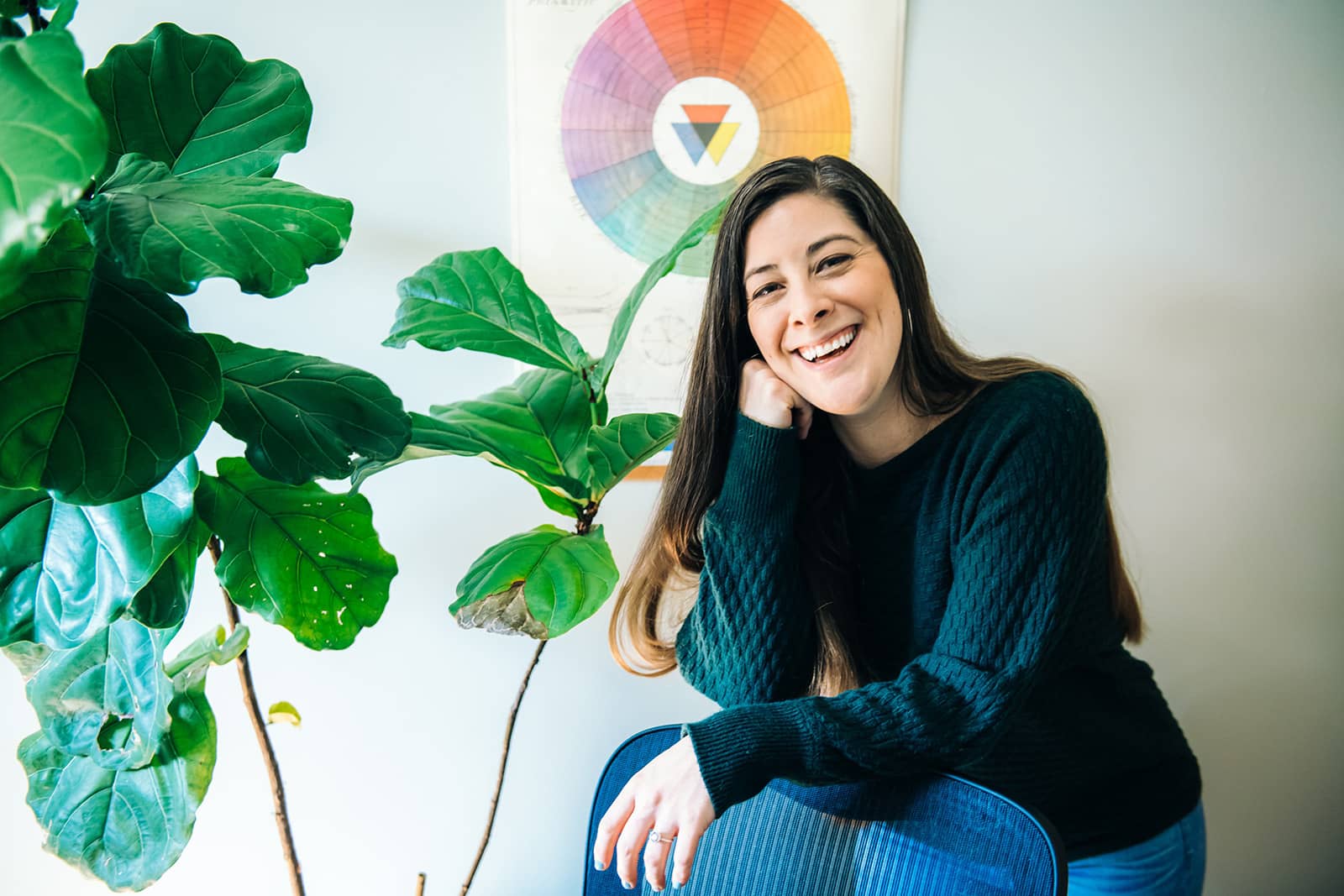 Graphic Design - Ducks In Rows